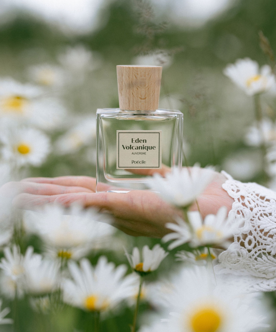 Eden Volcanique, le parfum de l'Auvergne – Poécile